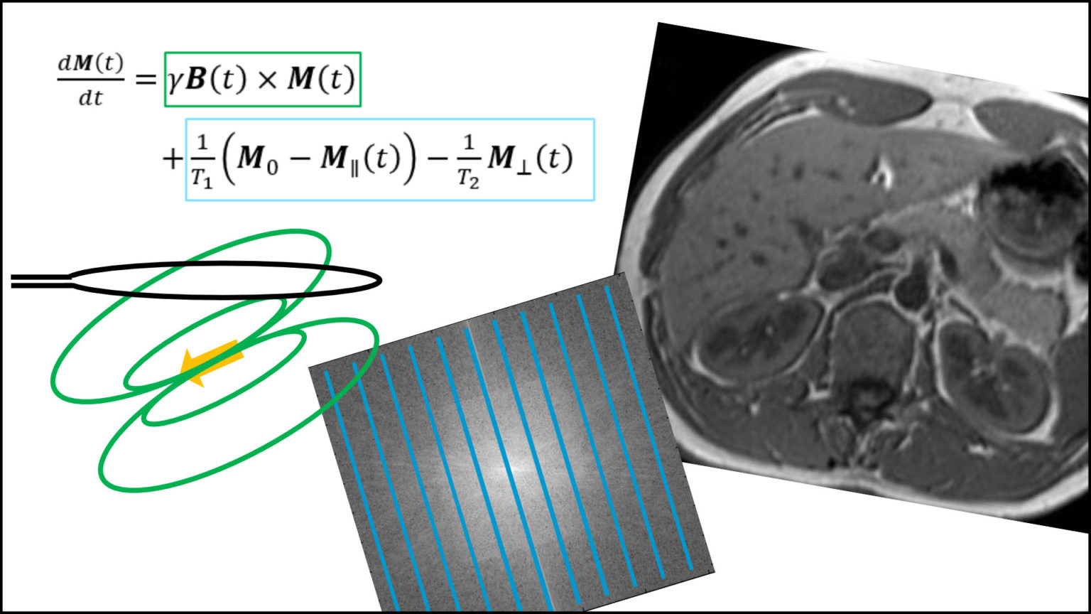 Kurs „Magnetresonanztomographie 1“ - MRT-Forschung am ...