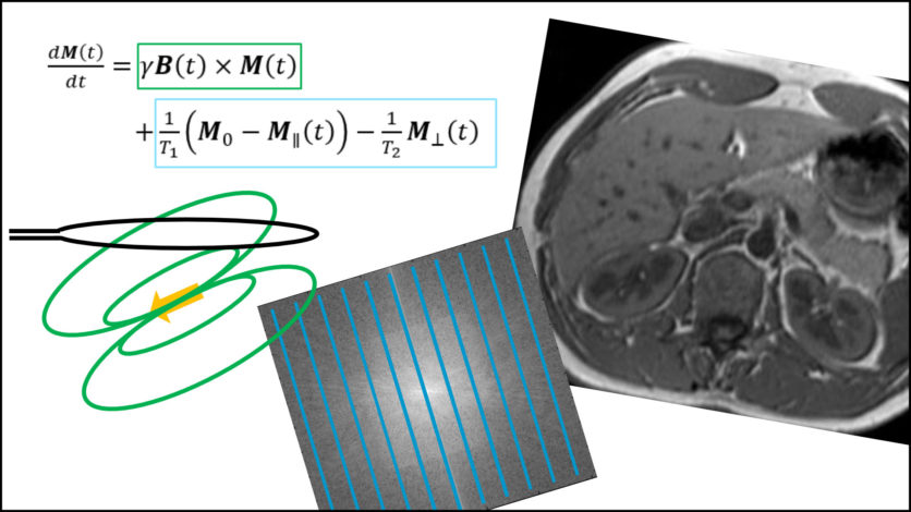 Course “Magnetic resonance imaging 1” - MRT-Forschung am ...